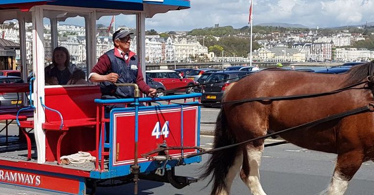 Douglas Horse Trams | Visit IOM
