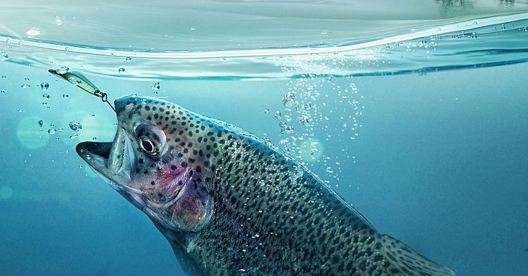 Fishing in the Isle of Man | Visit IOM