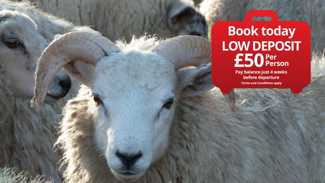 Isle of Man Holidays, Flights and Hotels | Visit IOM