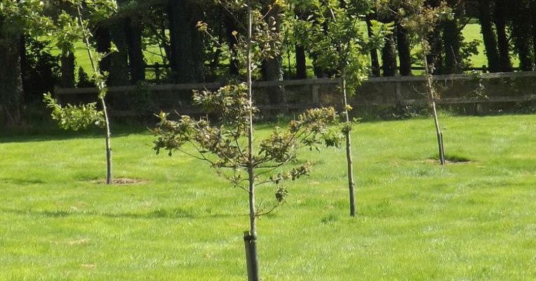 Tynwald National Park | Visit IOM